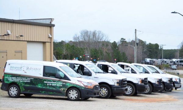Advance Pest Control - Advance Pest Control